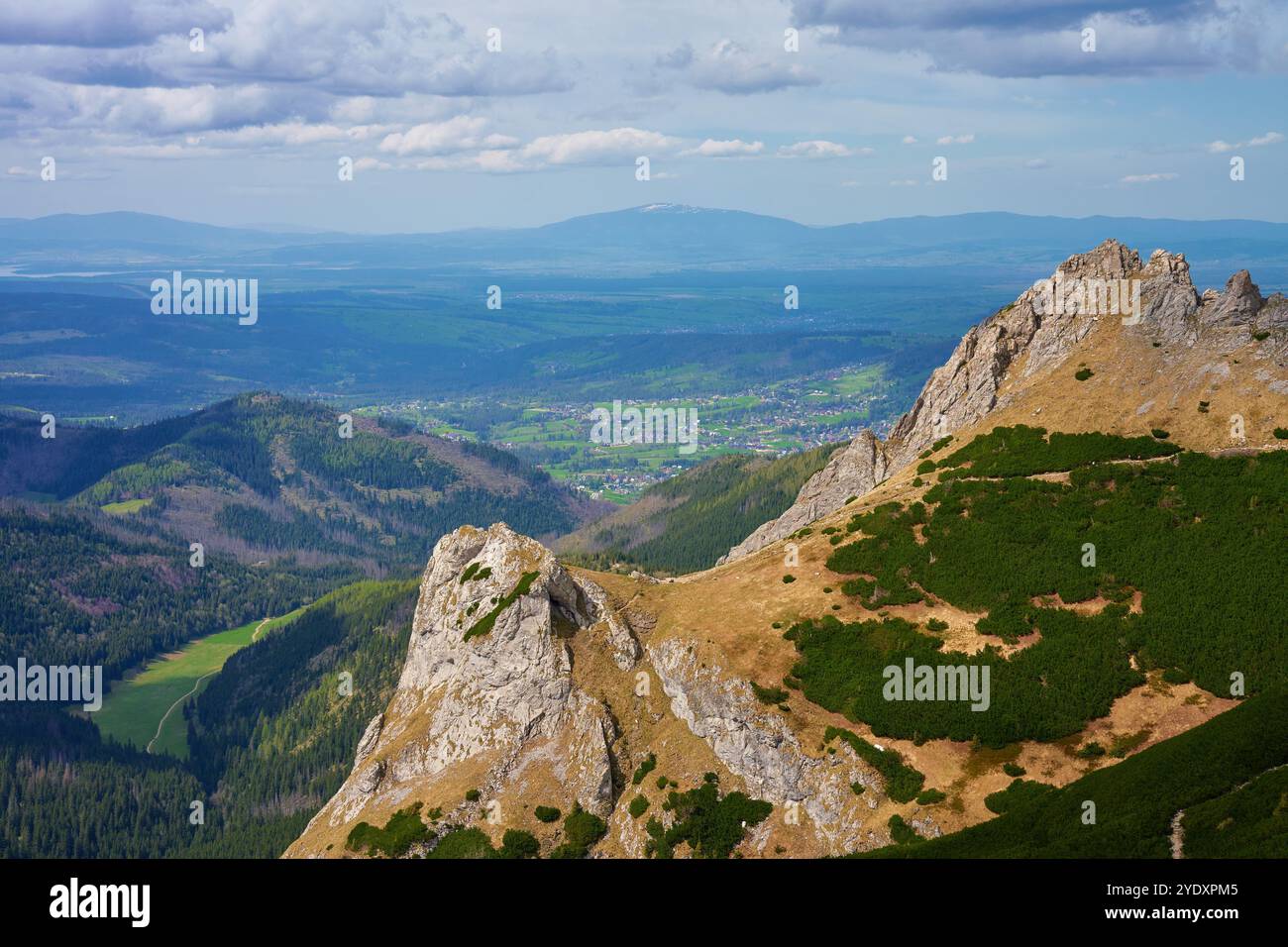 Panoramic view of green mountain valley with rolling hills and dense ...