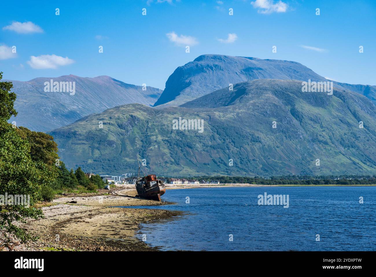 Mv golden harvest hi-res stock photography and images - Alamy