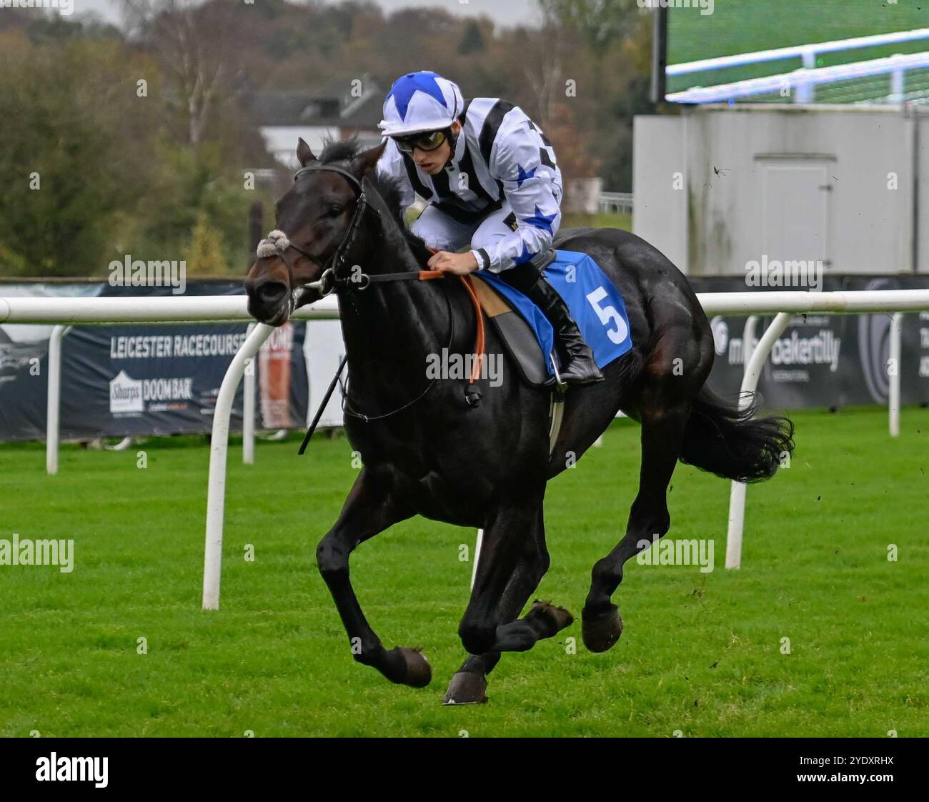 Horse racing leicester racecourse hi-res stock photography and images ...