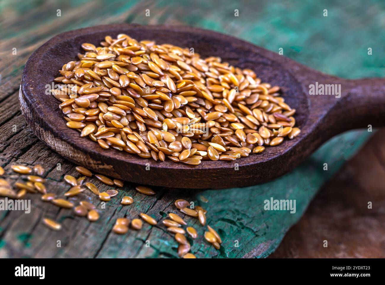 Linum usitatissimum anatomy hi-res stock photography and images - Alamy