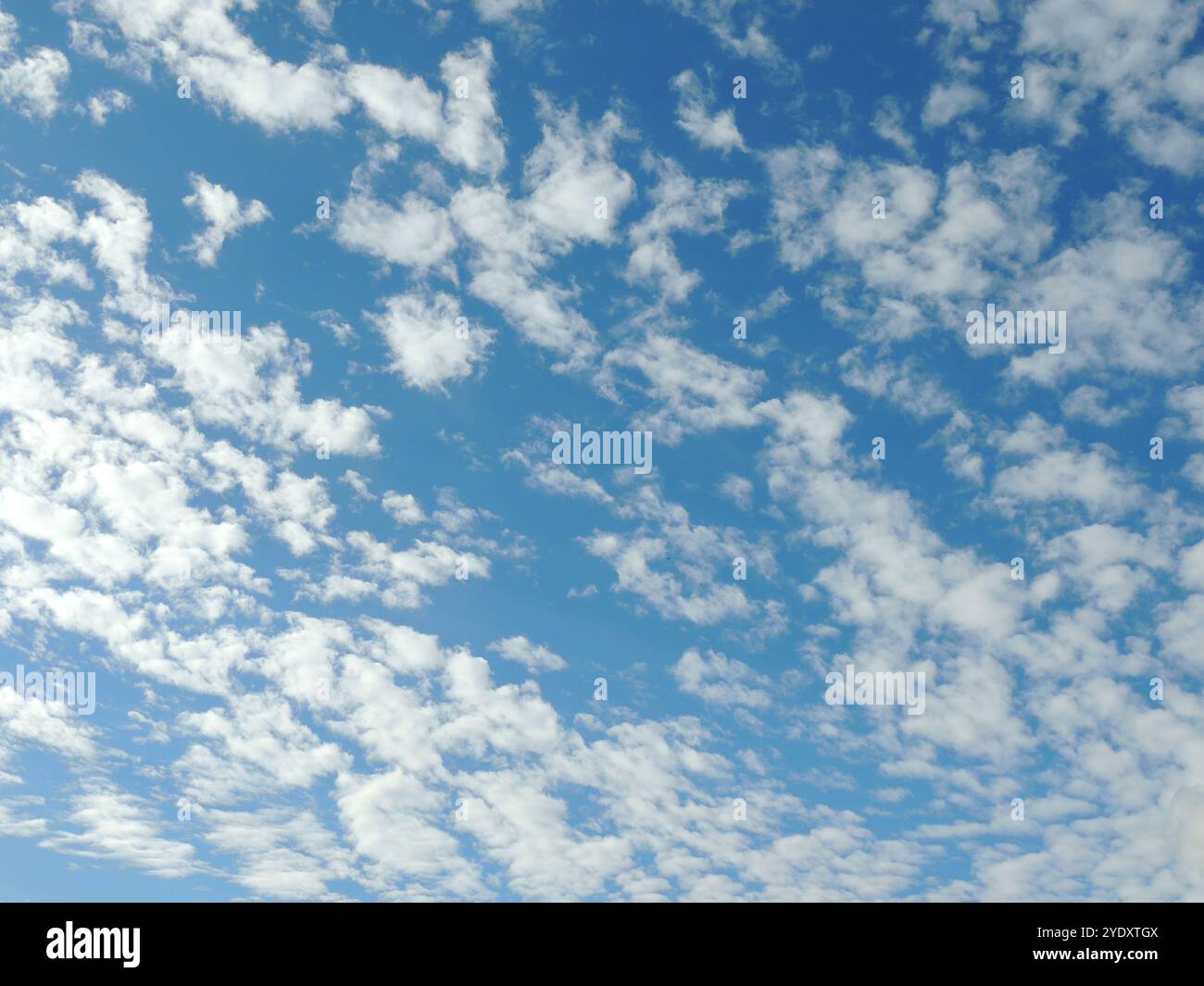 bright bright blue sky with many separate feathery clouds, airy background with wind movement in ...