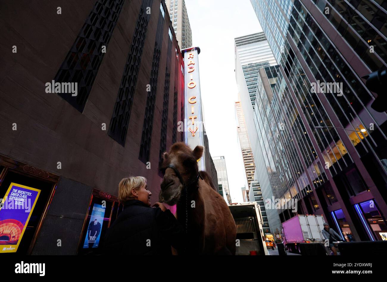A camel stands on 51st Street before His Eminence Timothy Cardinal ...