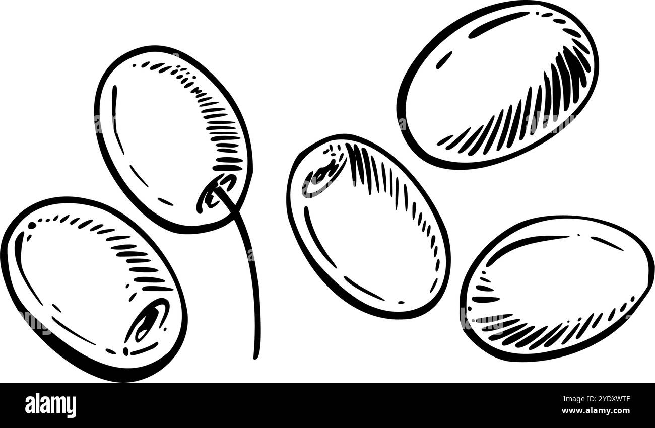 Olives fruit and berries set. Black line graphic art healthy food ...