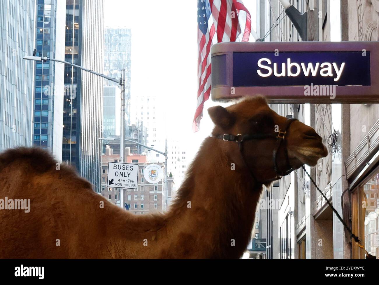 Welcome back 2024 hi-res stock photography and images - Alamy