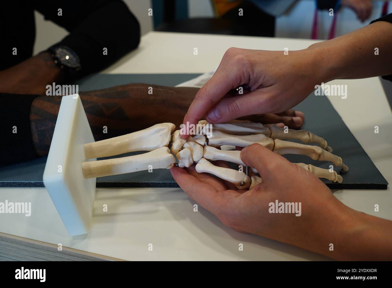 Physiotherapy center specializing in hand, elbow and shoulder ...