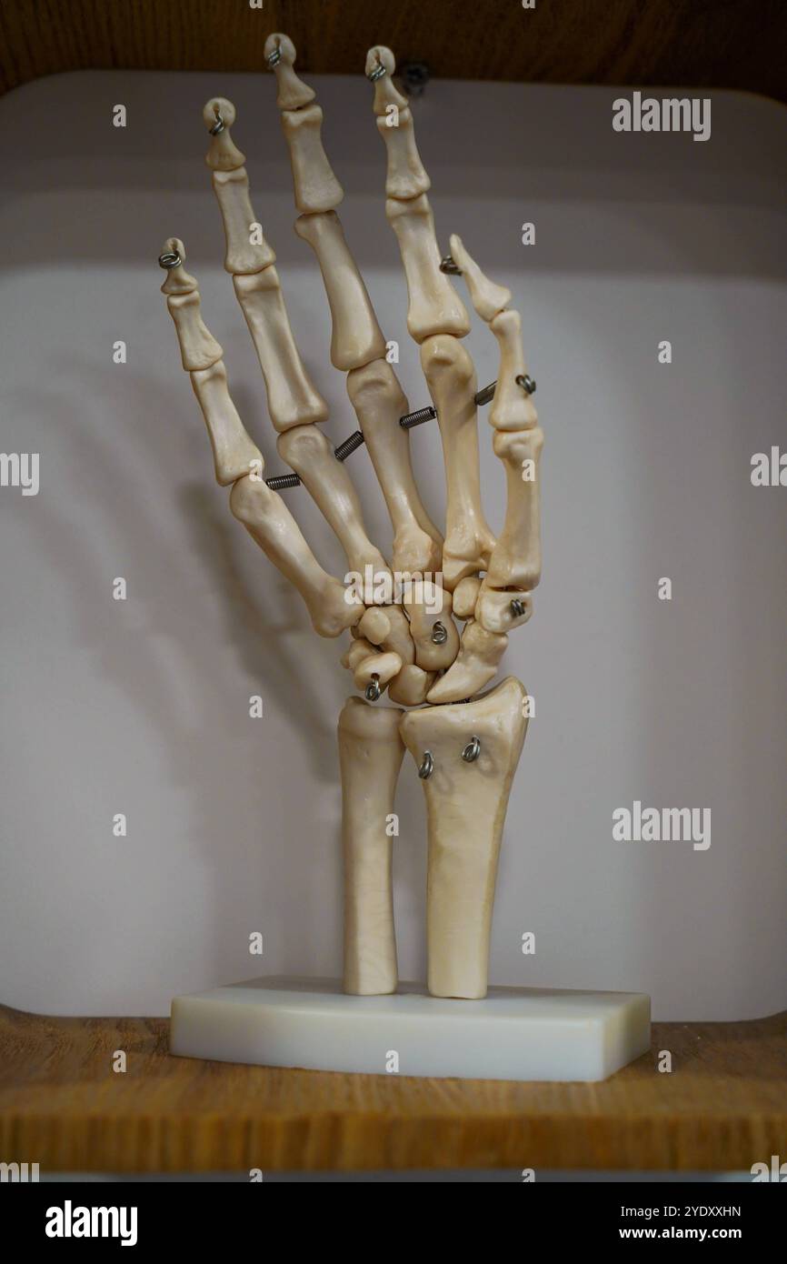 Physiotherapy center specializing in hand, elbow and shoulder ...