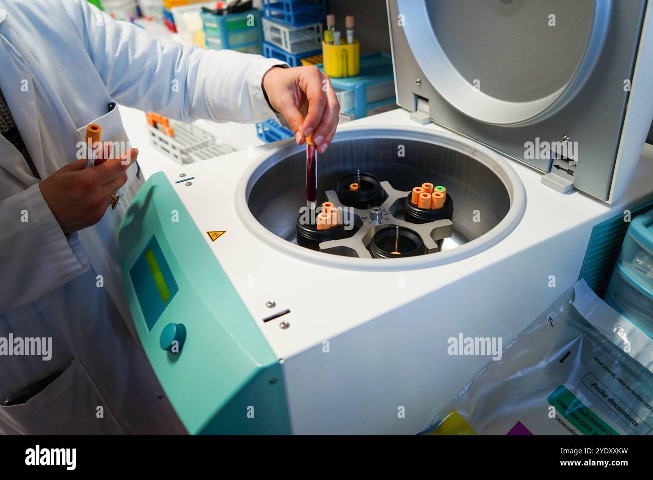 Medical analysis laboratory. Blood samples placed in the benchtop ...