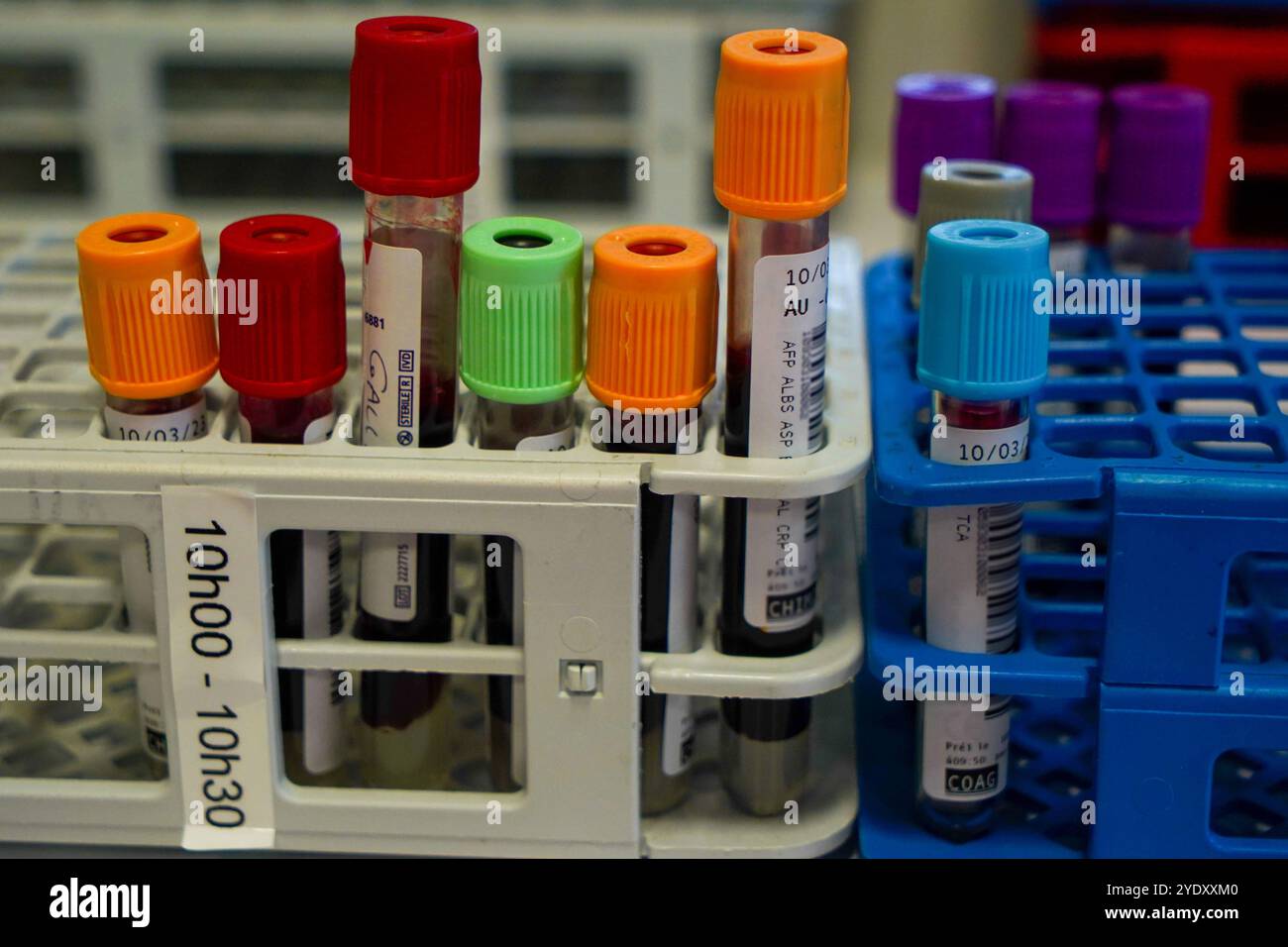 Medical analysis laboratory. Blood samples classified before analysis ...