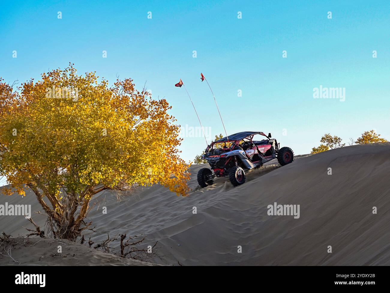 Urumqi, China's Xinjiang Uygur Autonomous Region. 26th Oct, 2024. A ...