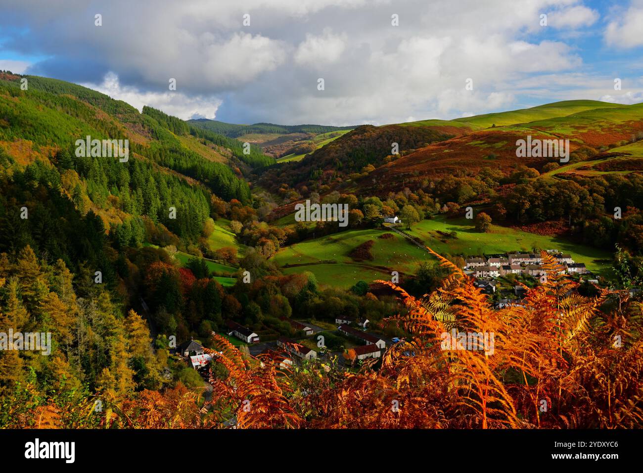 Ceinws and Esgargellog villages from the Dyfi Forest in Powys showing ...