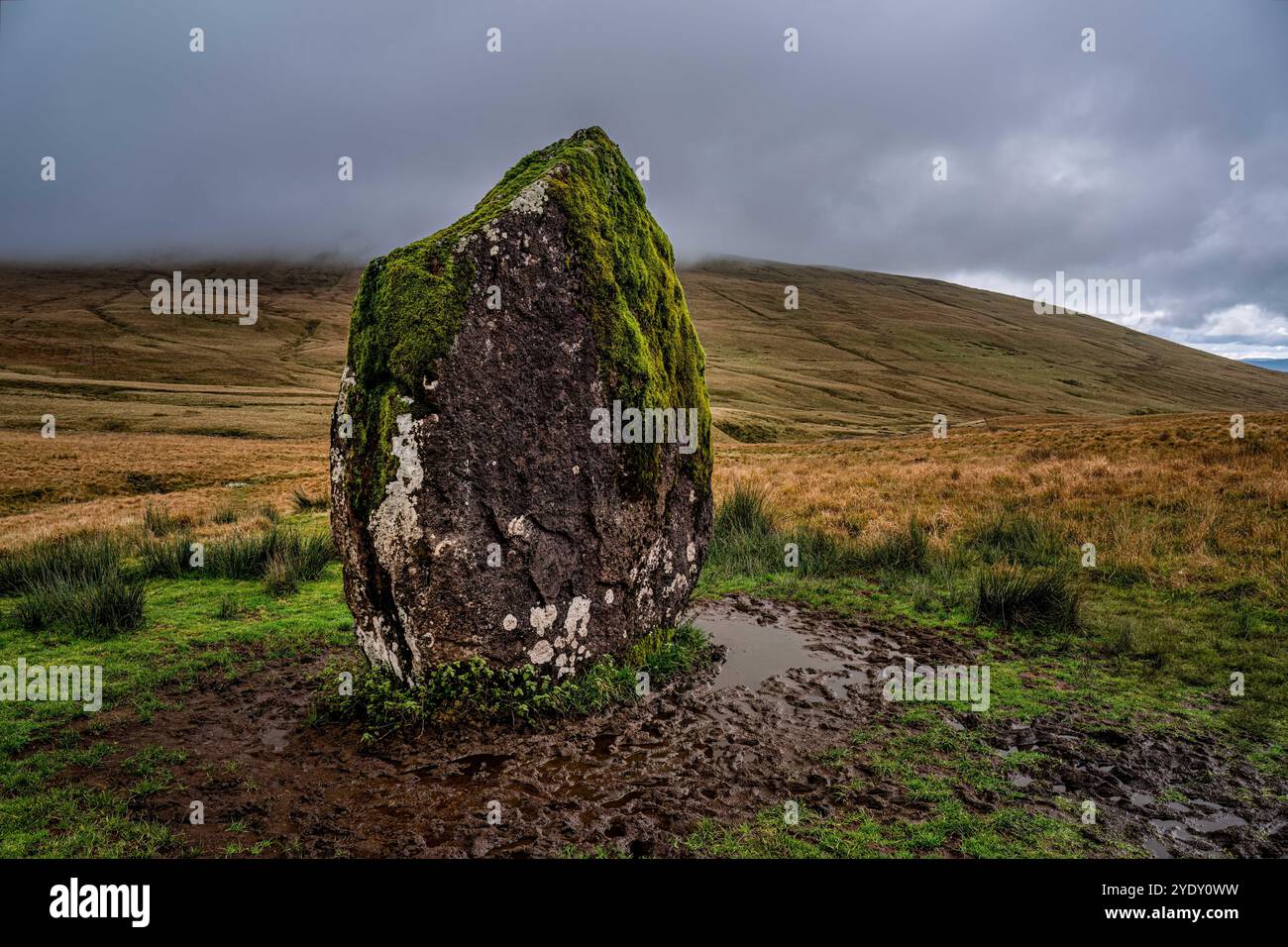 Highest standing stone hi-res stock photography and images - Alamy