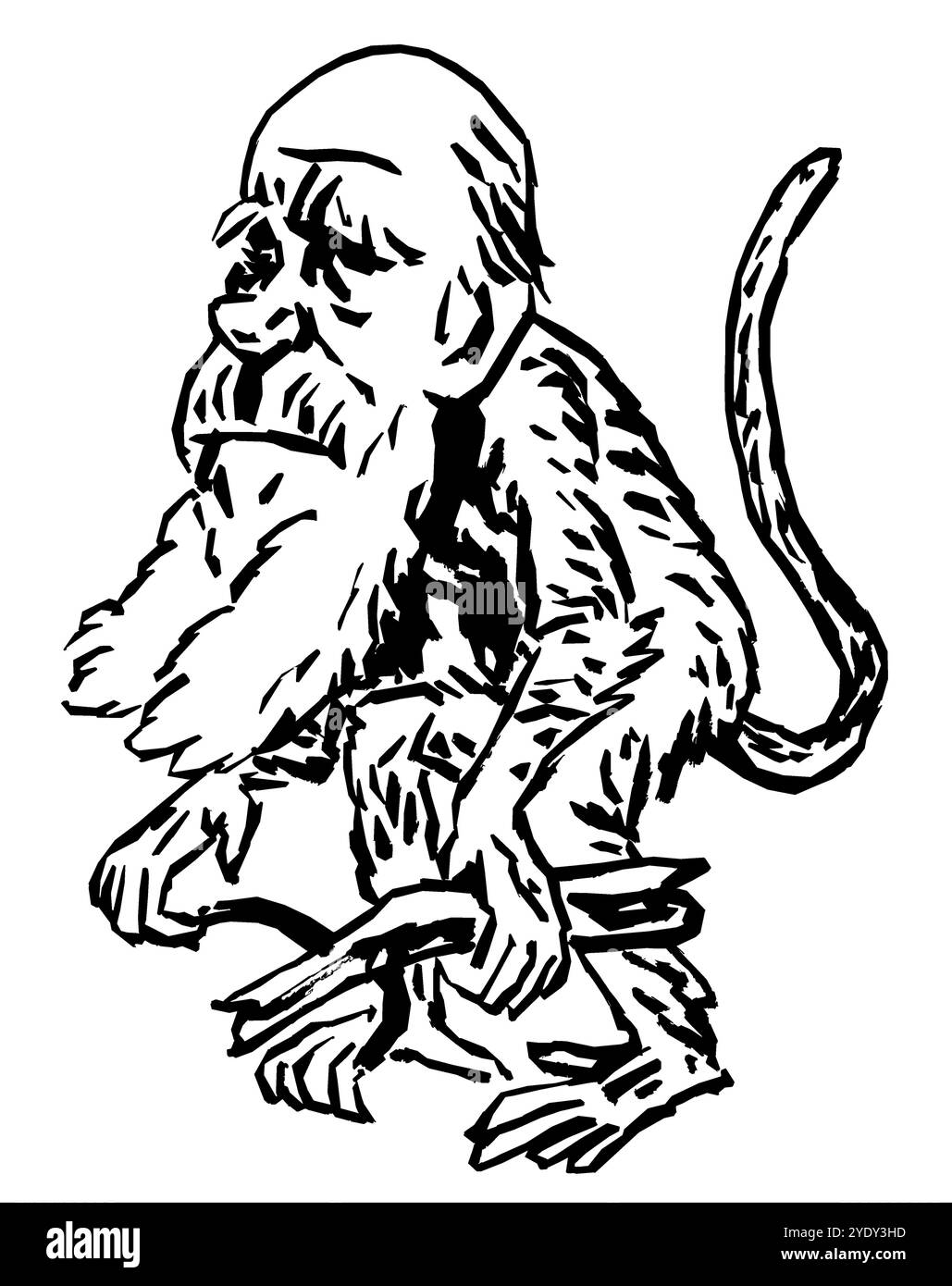 Monkey scientist hi-res stock photography and images - Alamy