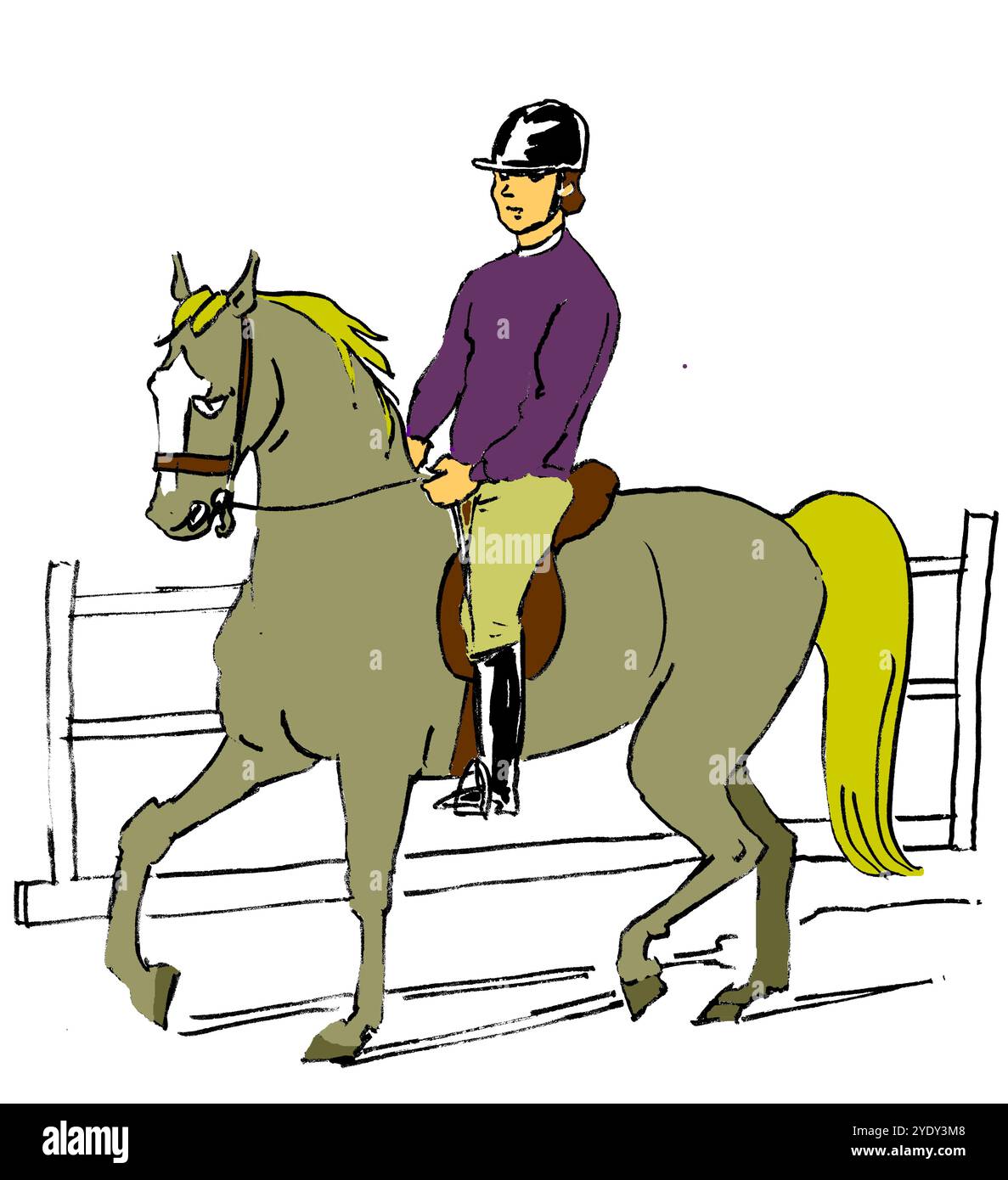 Horse riding lesson Stock Photo - Alamy