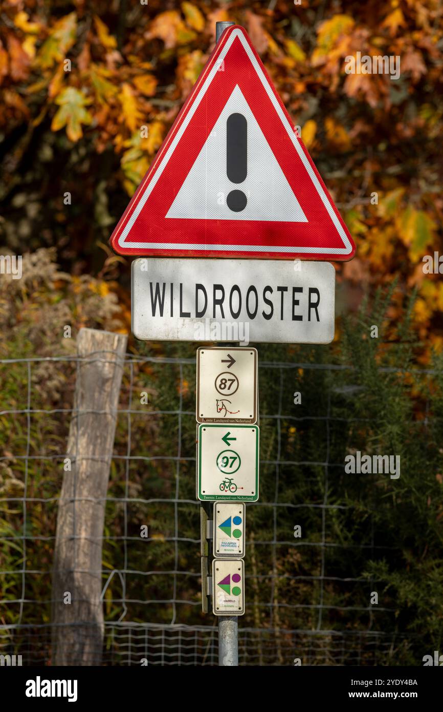 Vertical frame closeup of game grid warning sign with Dutch autumn fall ...