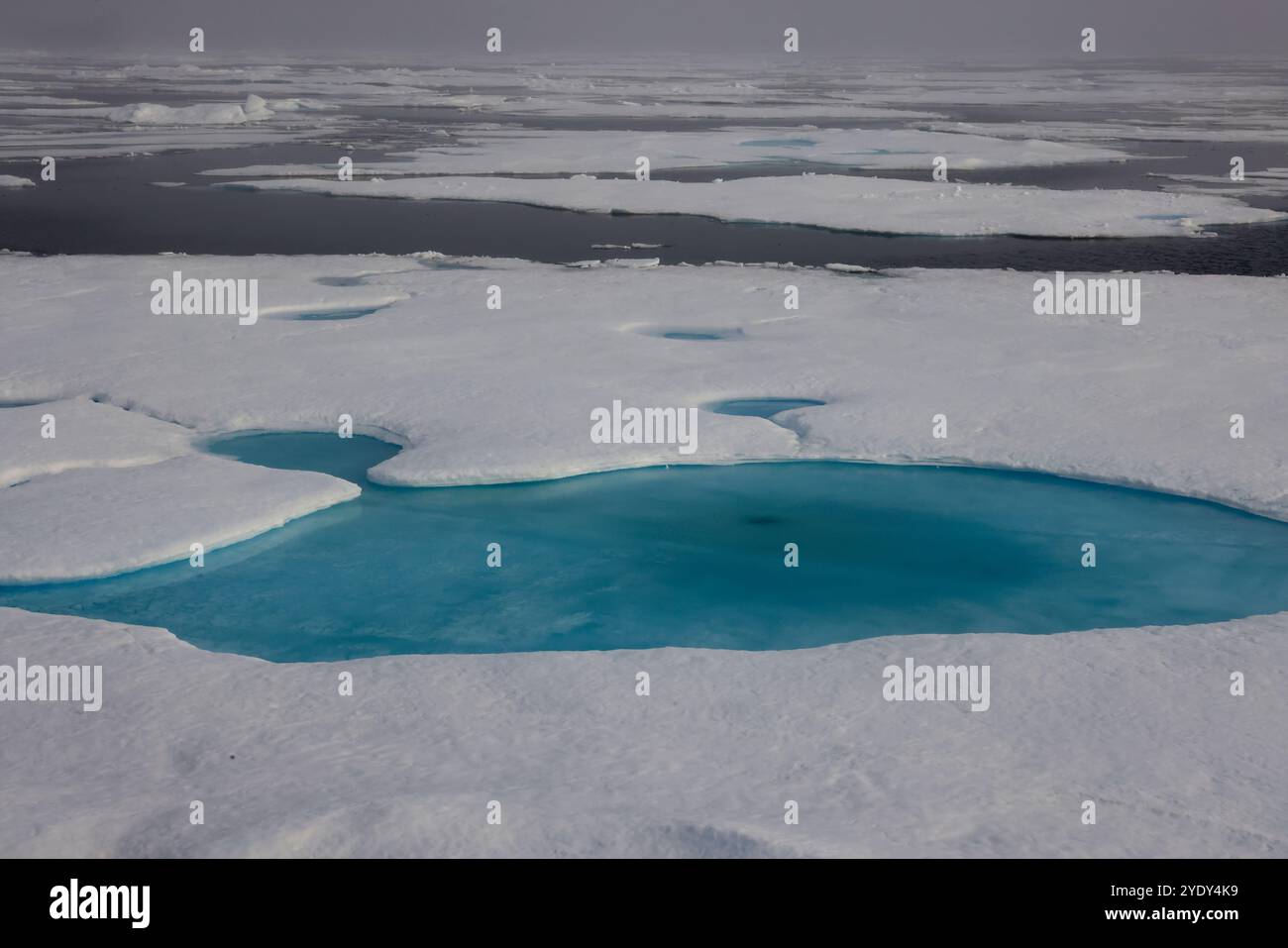 Moving Ice in the Arctic Pack Stock Photo - Alamy