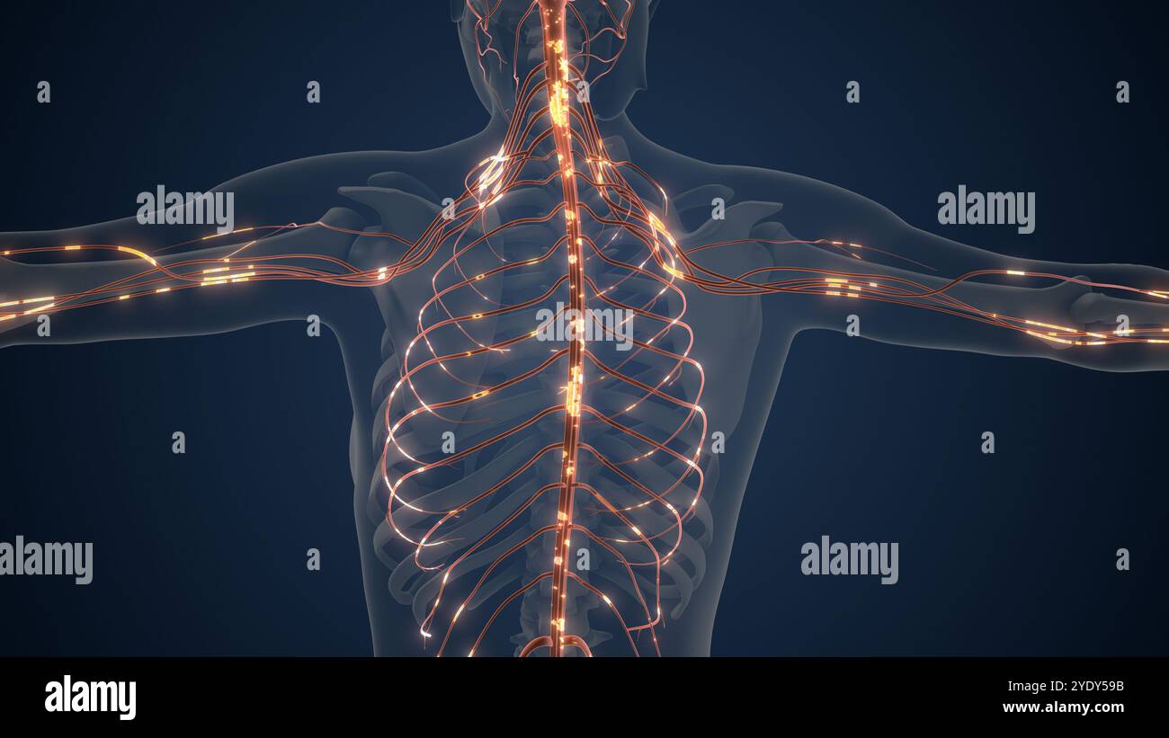Nerve signals hi-res stock photography and images - Alamy
