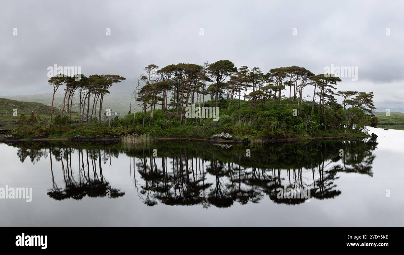 Symmetrical reflection of Pine Island in Connemara, Galway, Ireland ...