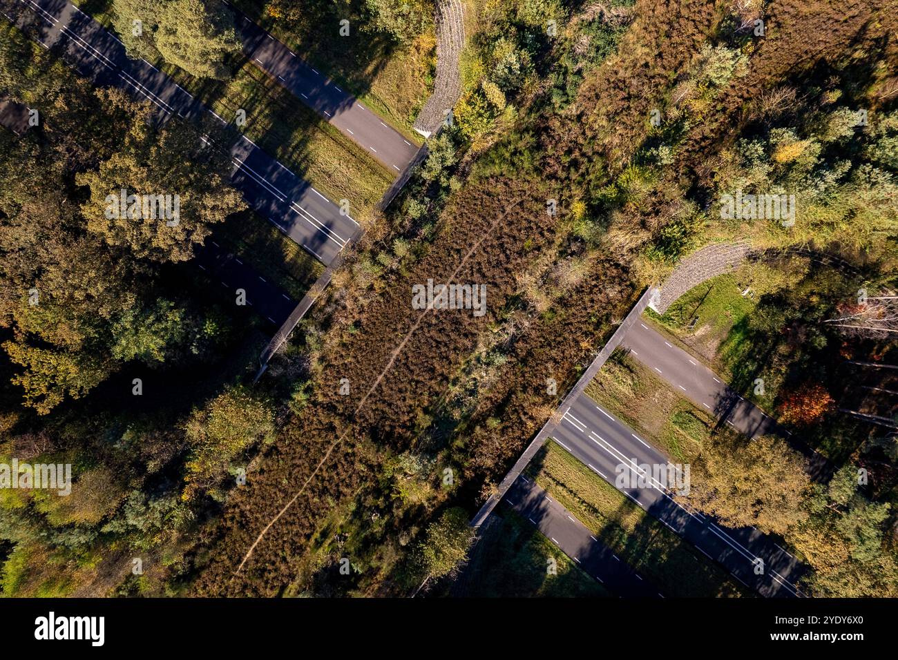 Forest aerial wildlife crossing Twilhaar near Nijverdal forming a safe ...