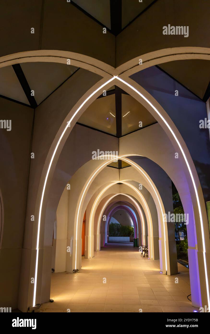 Festival Ferry Light Decoration for Diwali Celebration indoor in unique ...