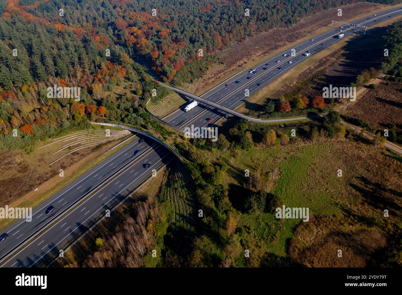 Forest aerial wildlife crossing De Borkeld forming a safe natural ...