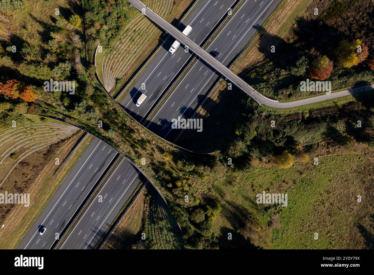 Forest aerial wildlife crossing De Borkeld forming a safe natural ...