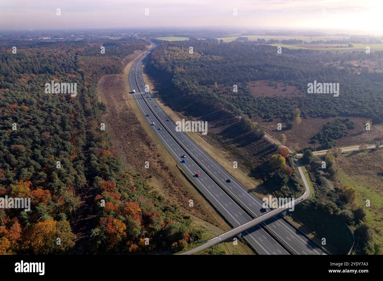 Forest aerial wildlife crossing De Borkeld forming a safe natural ...