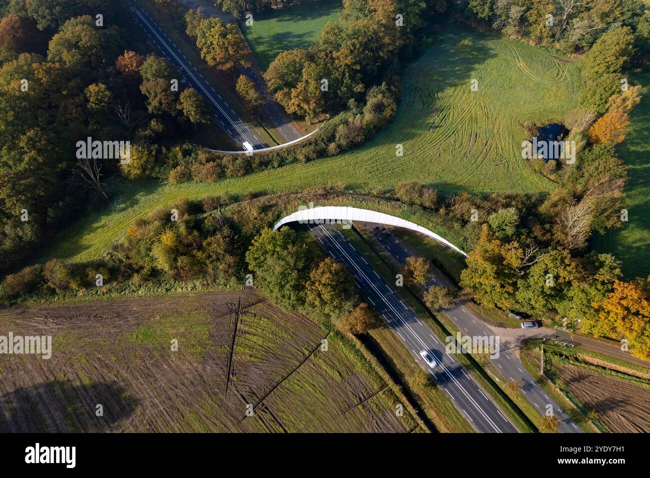 Motorway passing underneath Grimberg wildlife crossing forming a safe ...