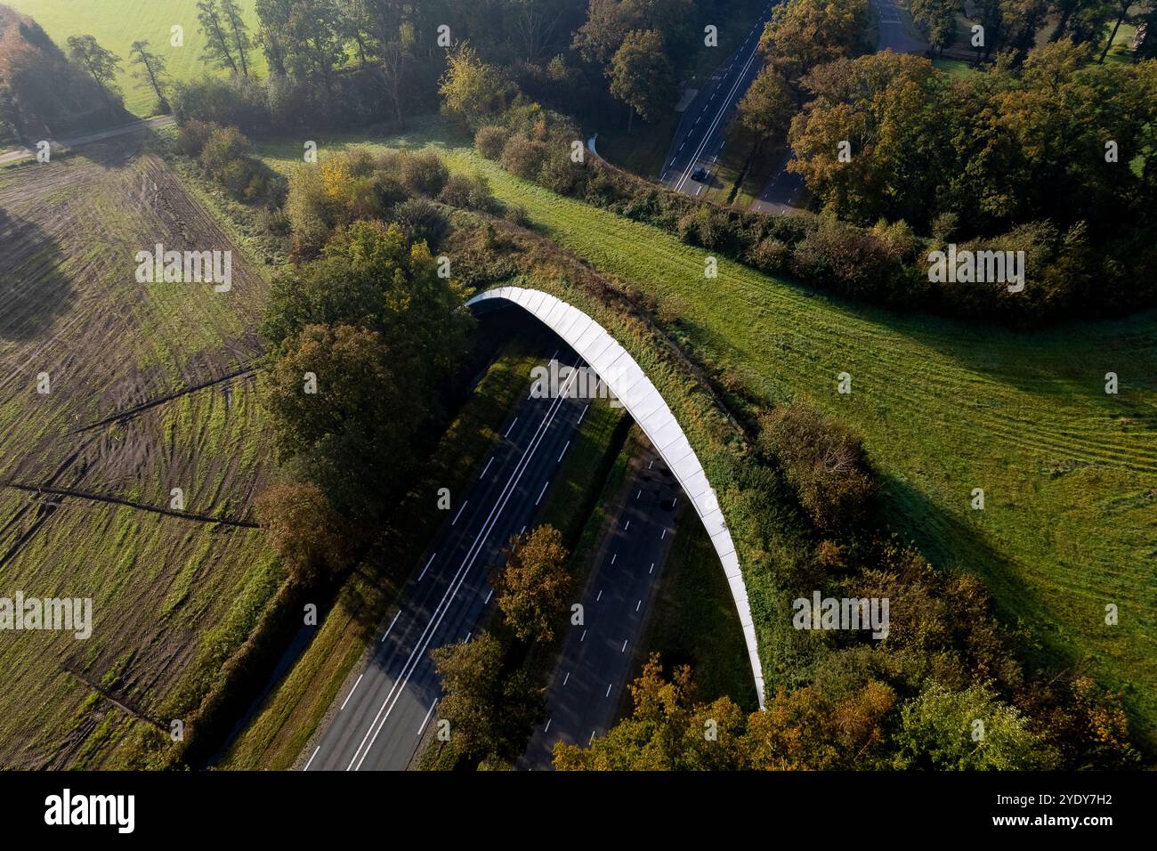Motorway passing underneath Grimberg wildlife crossing forming a safe ...