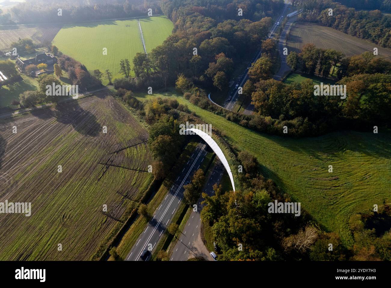Motorway passing underneath Grimberg wildlife crossing forming a safe ...