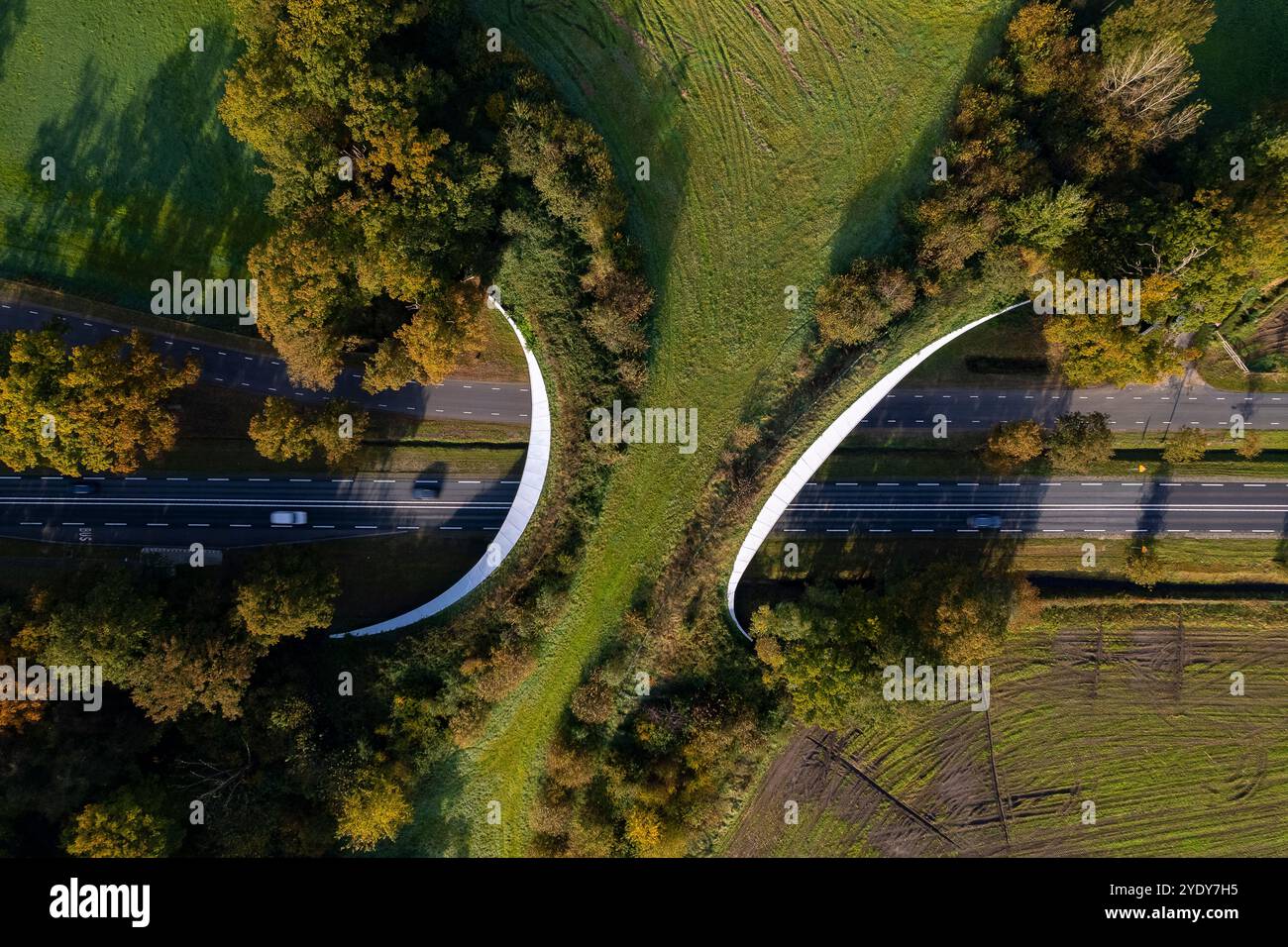 Motorway passing underneath Grimberg wildlife crossing forming a safe ...