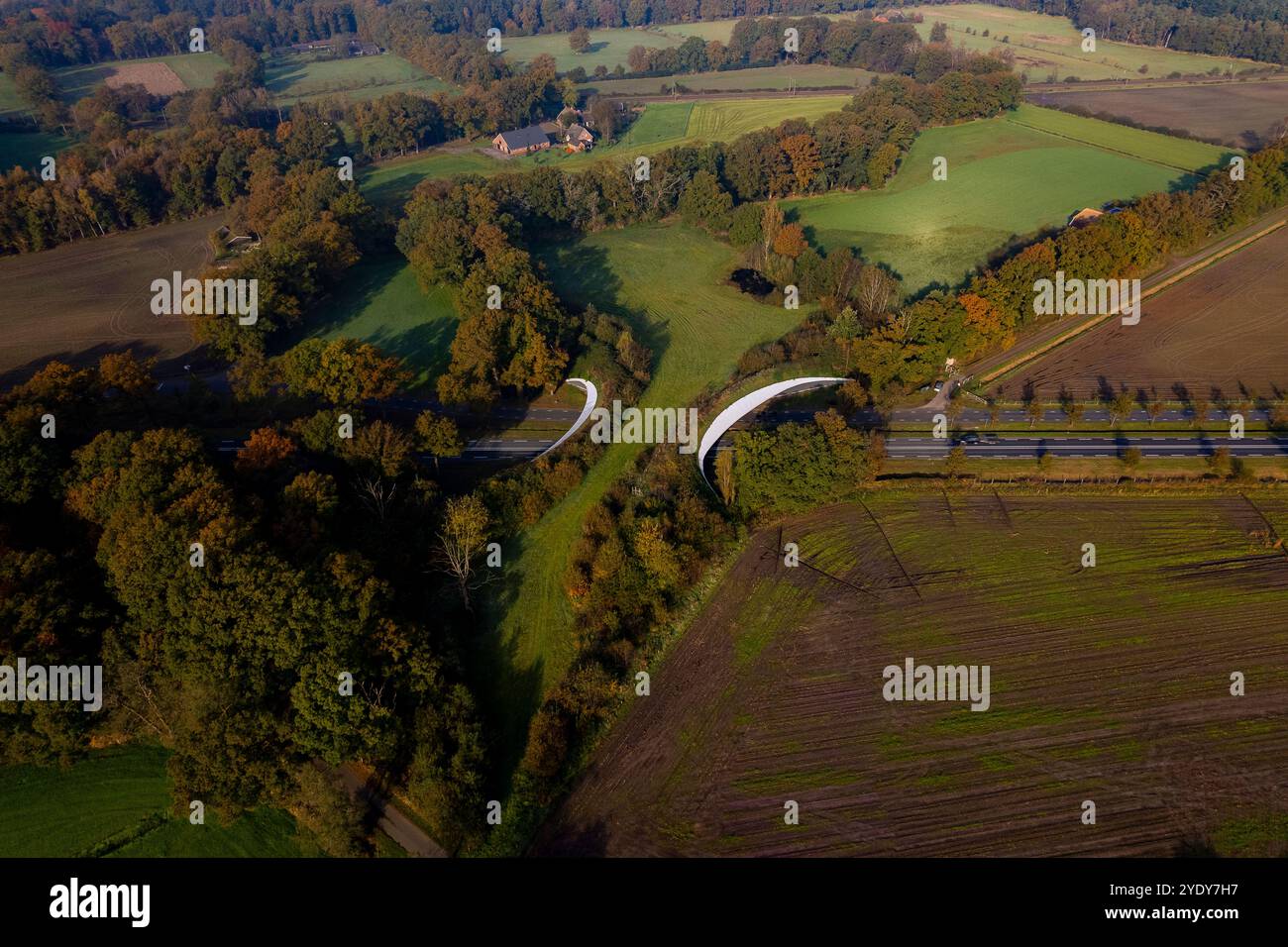 Motorway passing underneath Grimberg wildlife crossing forming a safe ...
