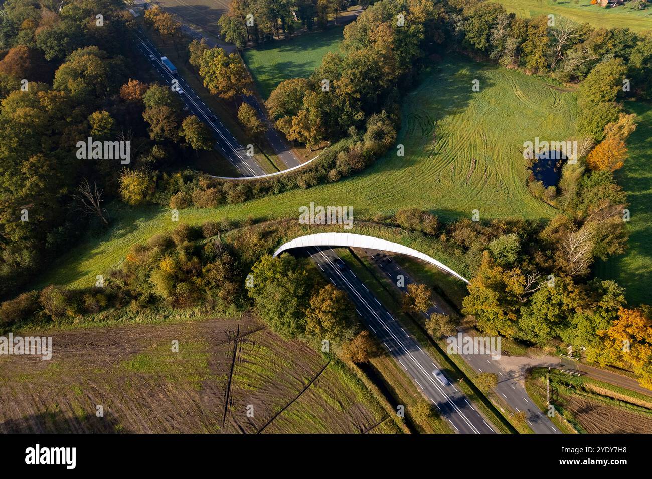 Motorway passing underneath Grimberg wildlife crossing forming a safe ...