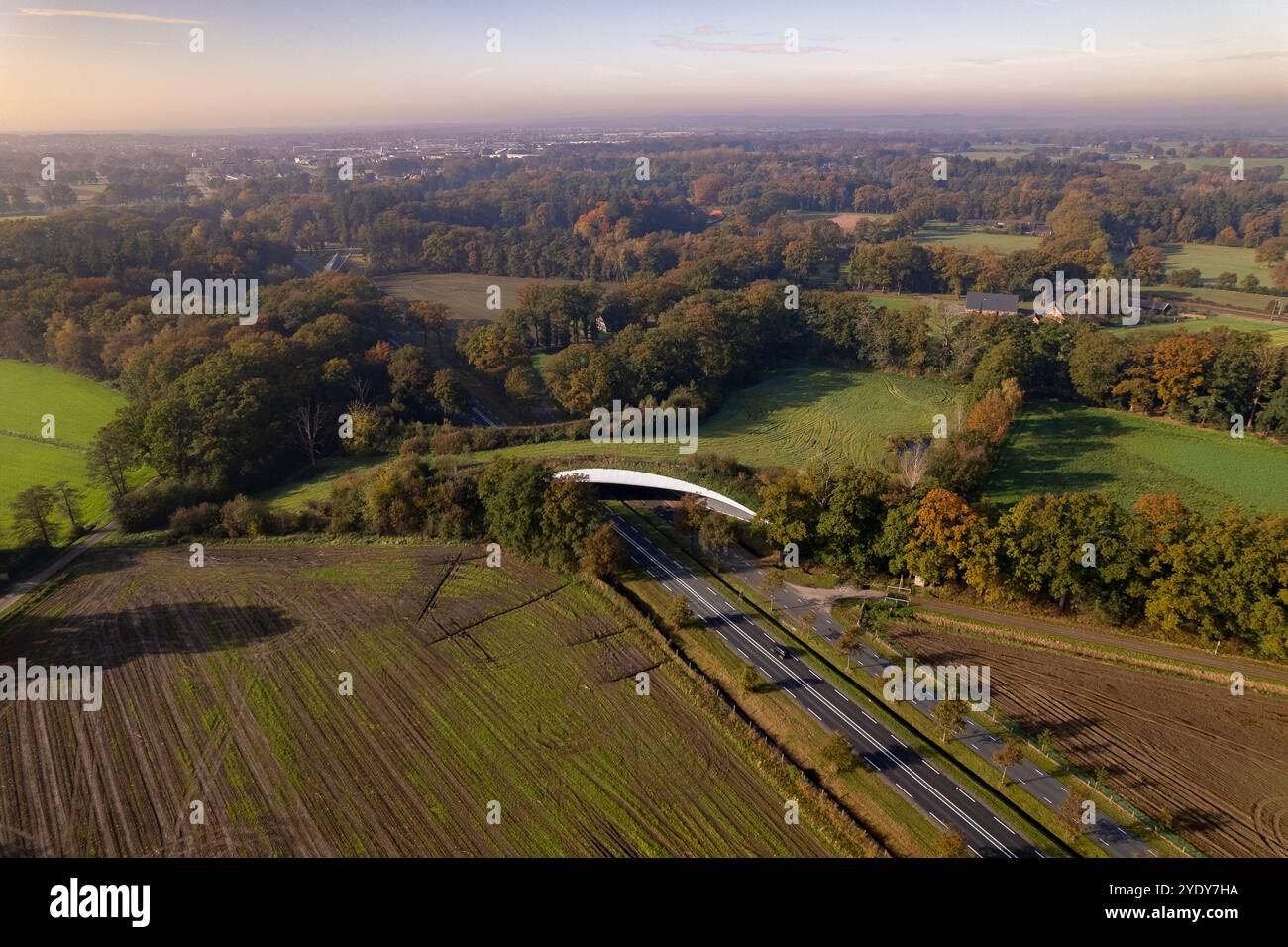 Motorway passing underneath Grimberg wildlife crossing forming a safe ...