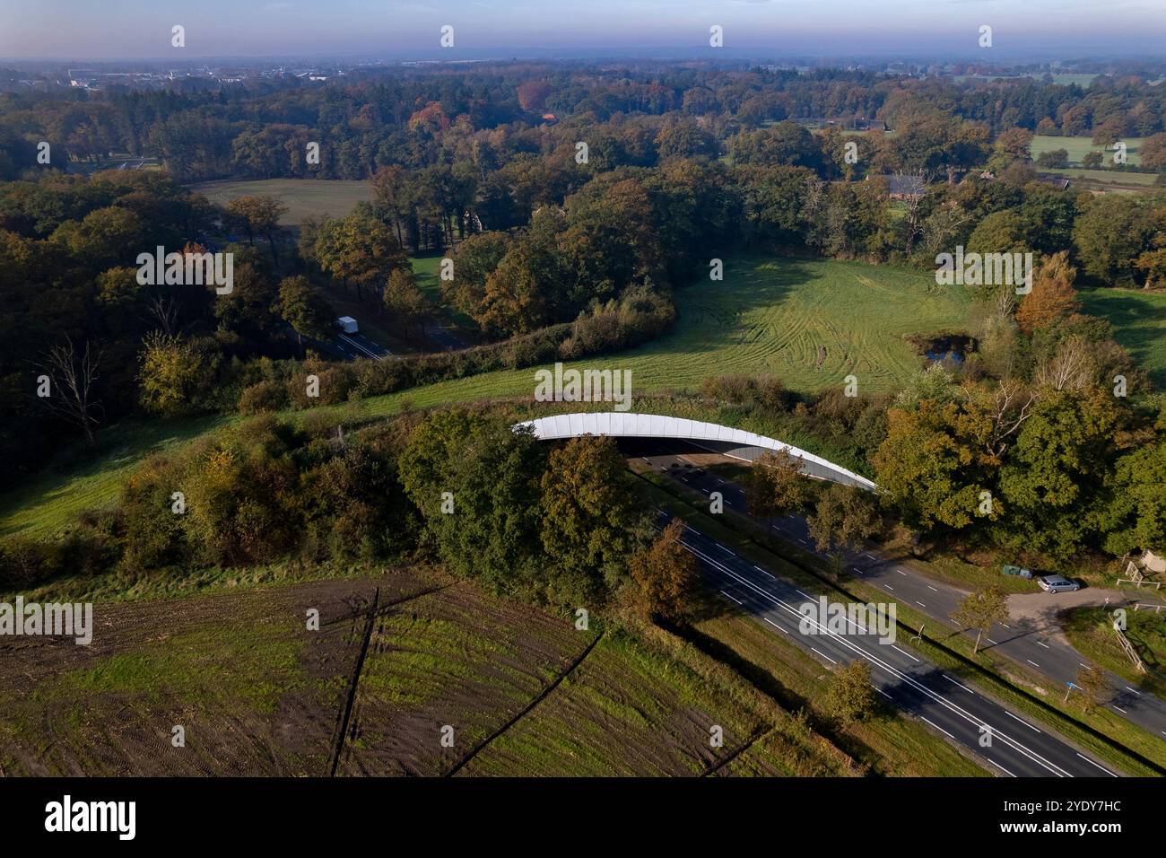 Motorway passing underneath Grimberg wildlife crossing forming a safe ...