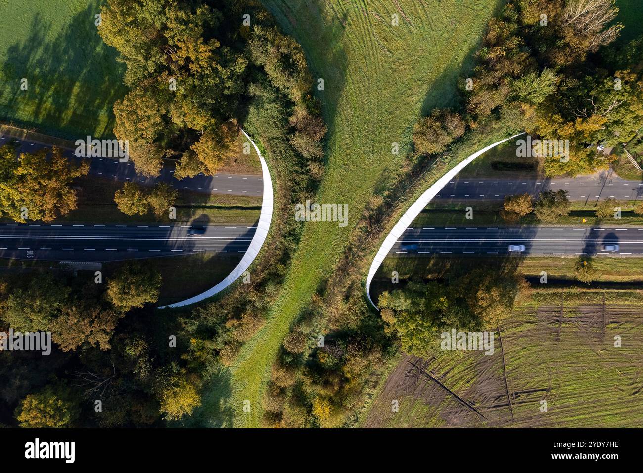 Motorway passing underneath Grimberg wildlife crossing forming a safe ...