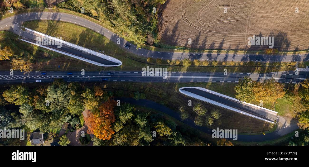 Dutch highway wildlife view hi-res stock photography and images - Alamy