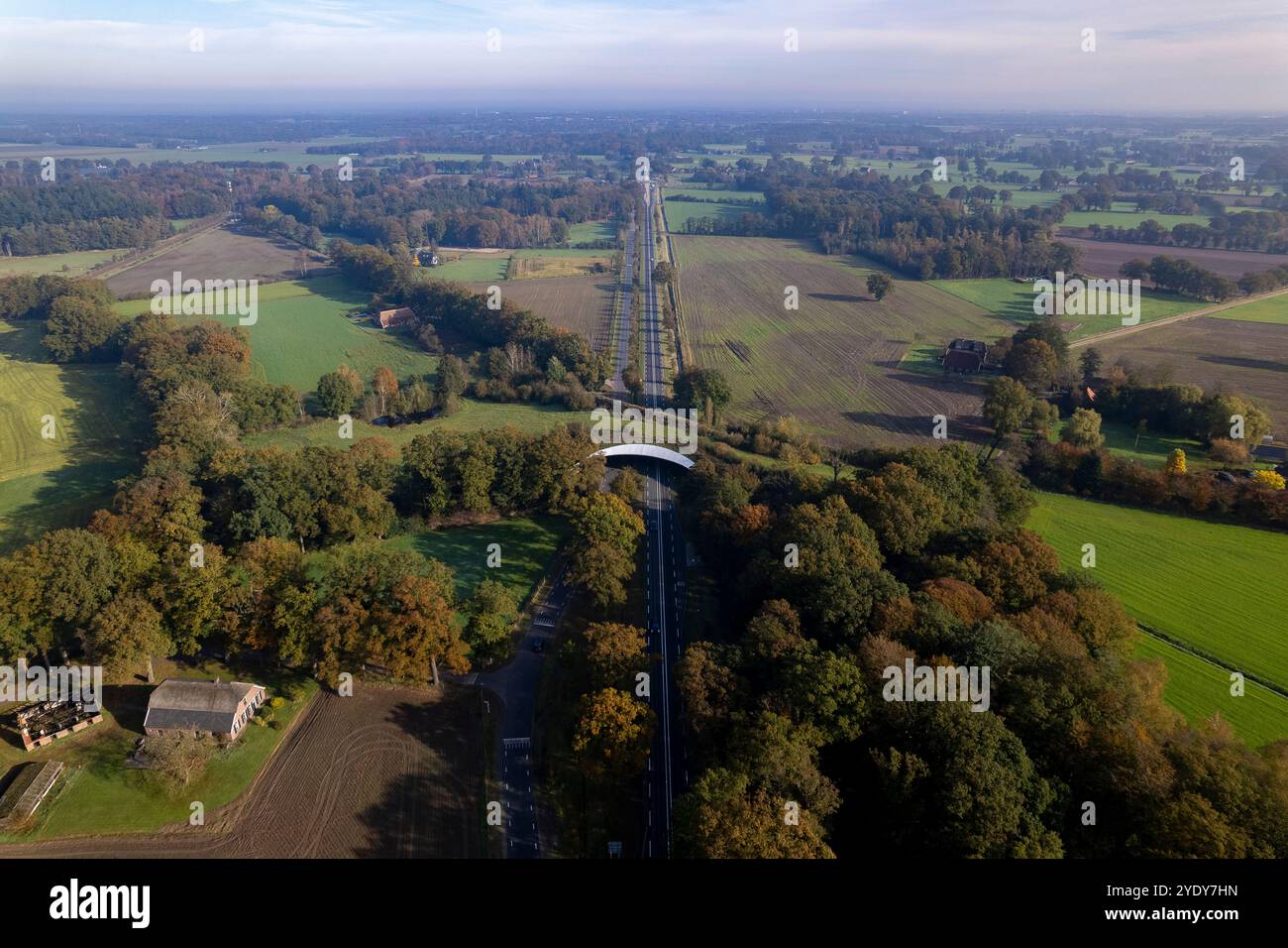 Motorway passing underneath Grimberg wildlife crossing forming a safe ...