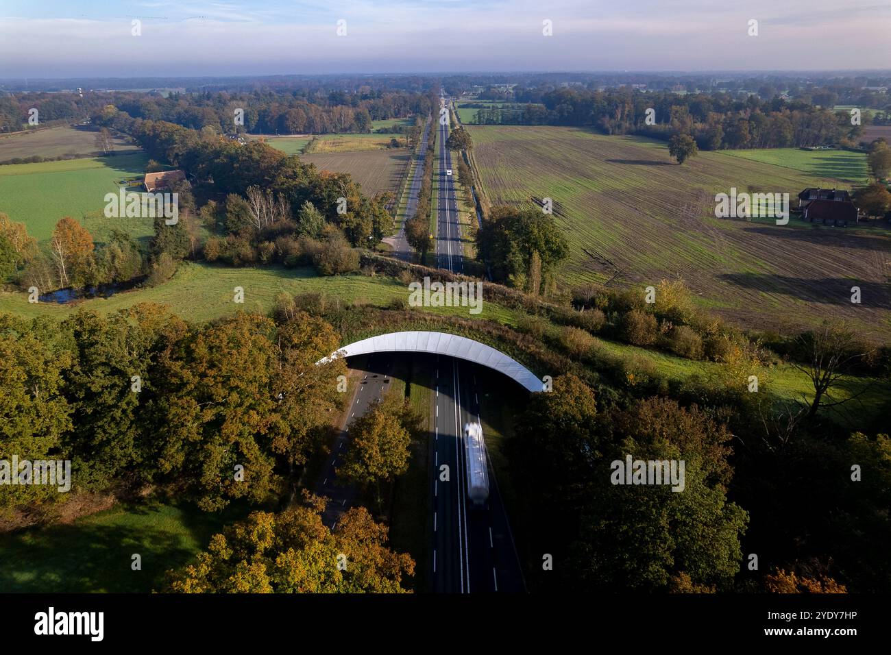 Motorway passing underneath Grimberg wildlife crossing forming a safe ...
