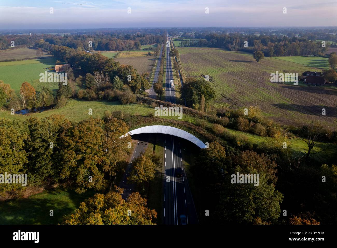 Motorway passing underneath Grimberg wildlife crossing forming a safe ...