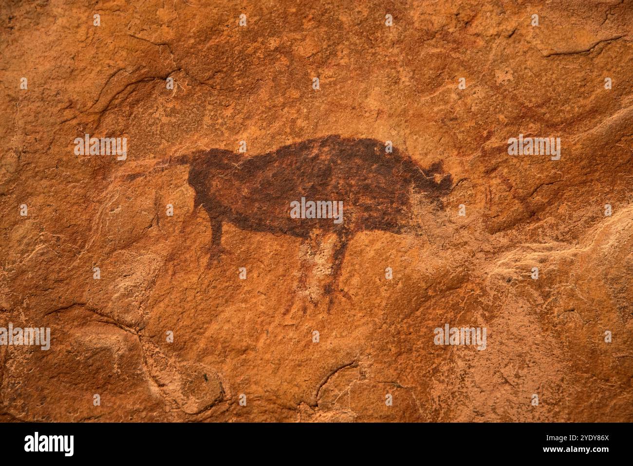 Terjit, Mauritania. 07th July, 2024. Nicolas Remene/Le Pictorium - Cave ...