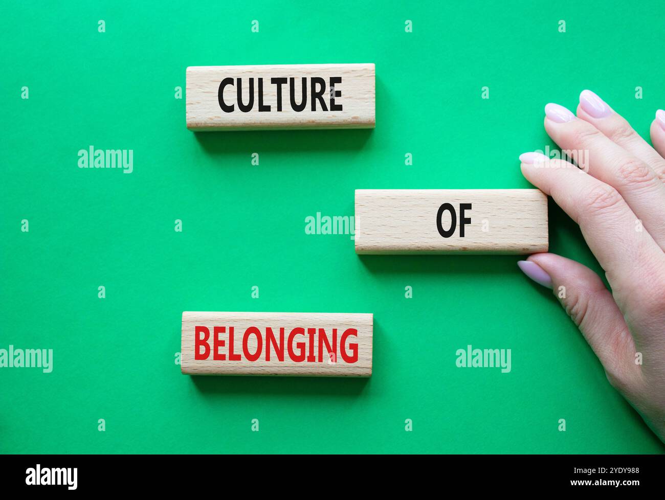 Culture of Belonging symbol. Wooden blocks with words Culture of ...