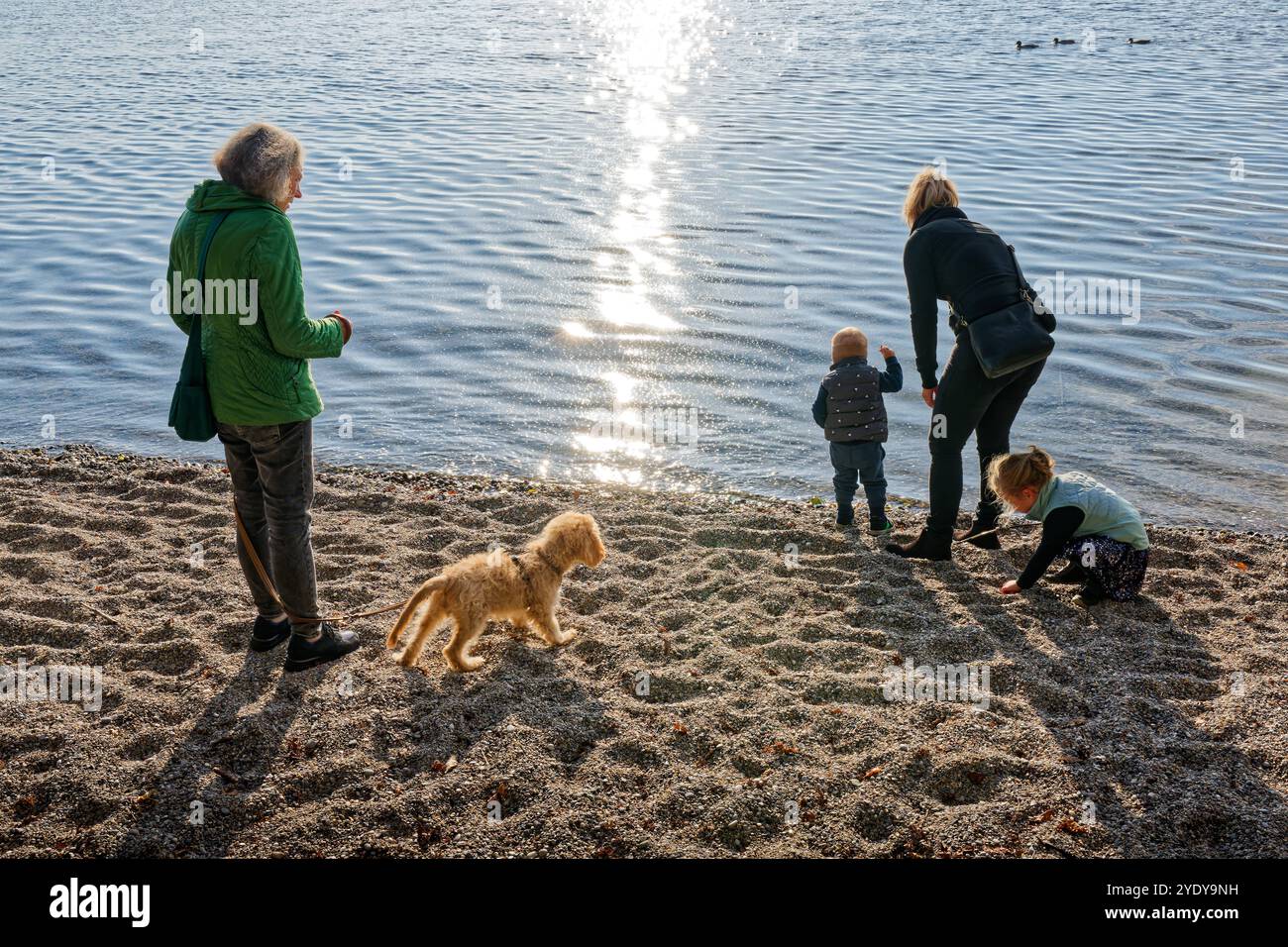 Mutter und sohn mit hund hi-res stock photography and images - Alamy