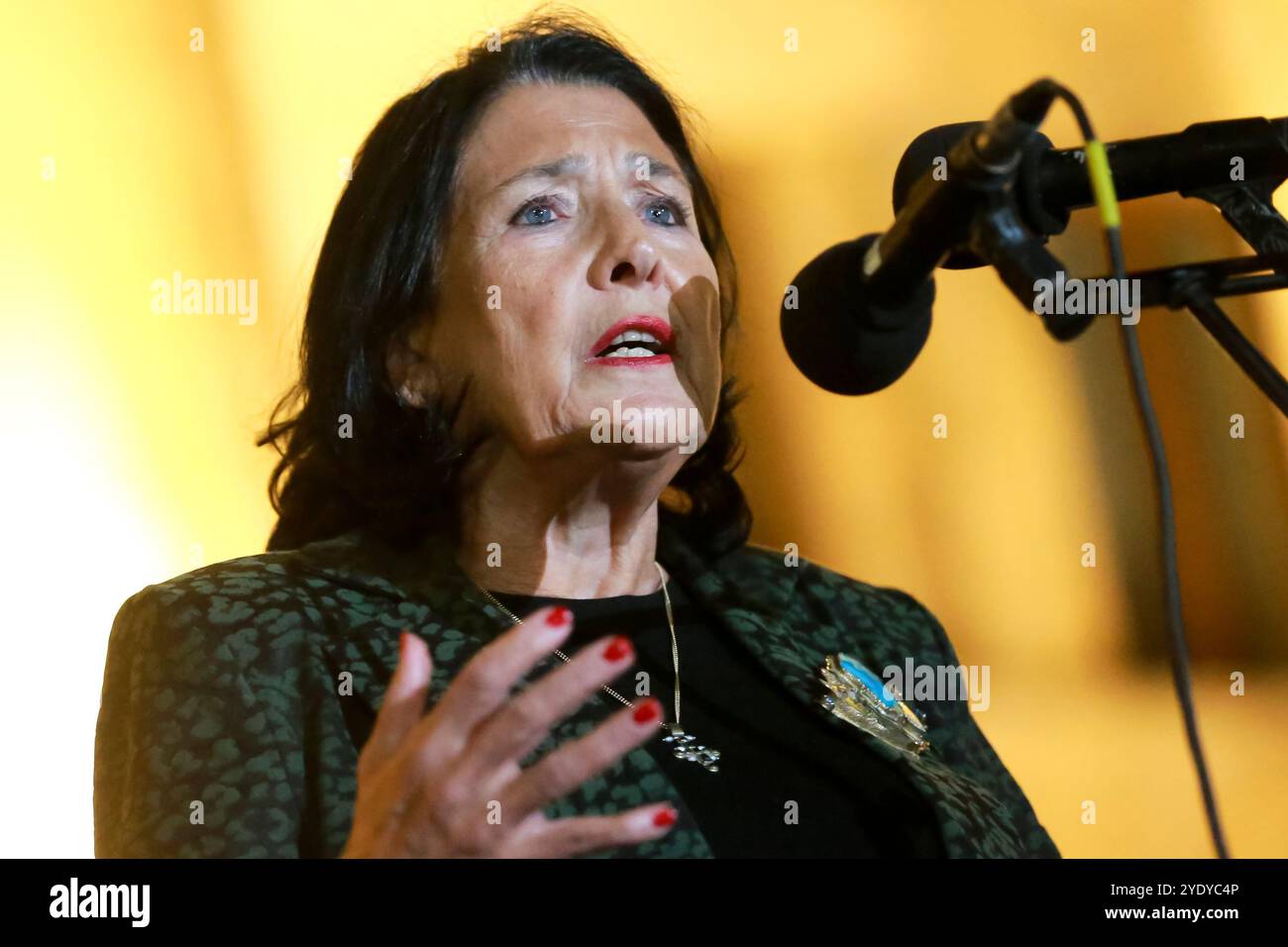 Georgian President Salome Zourabichvili speaks to a crowd during an ...