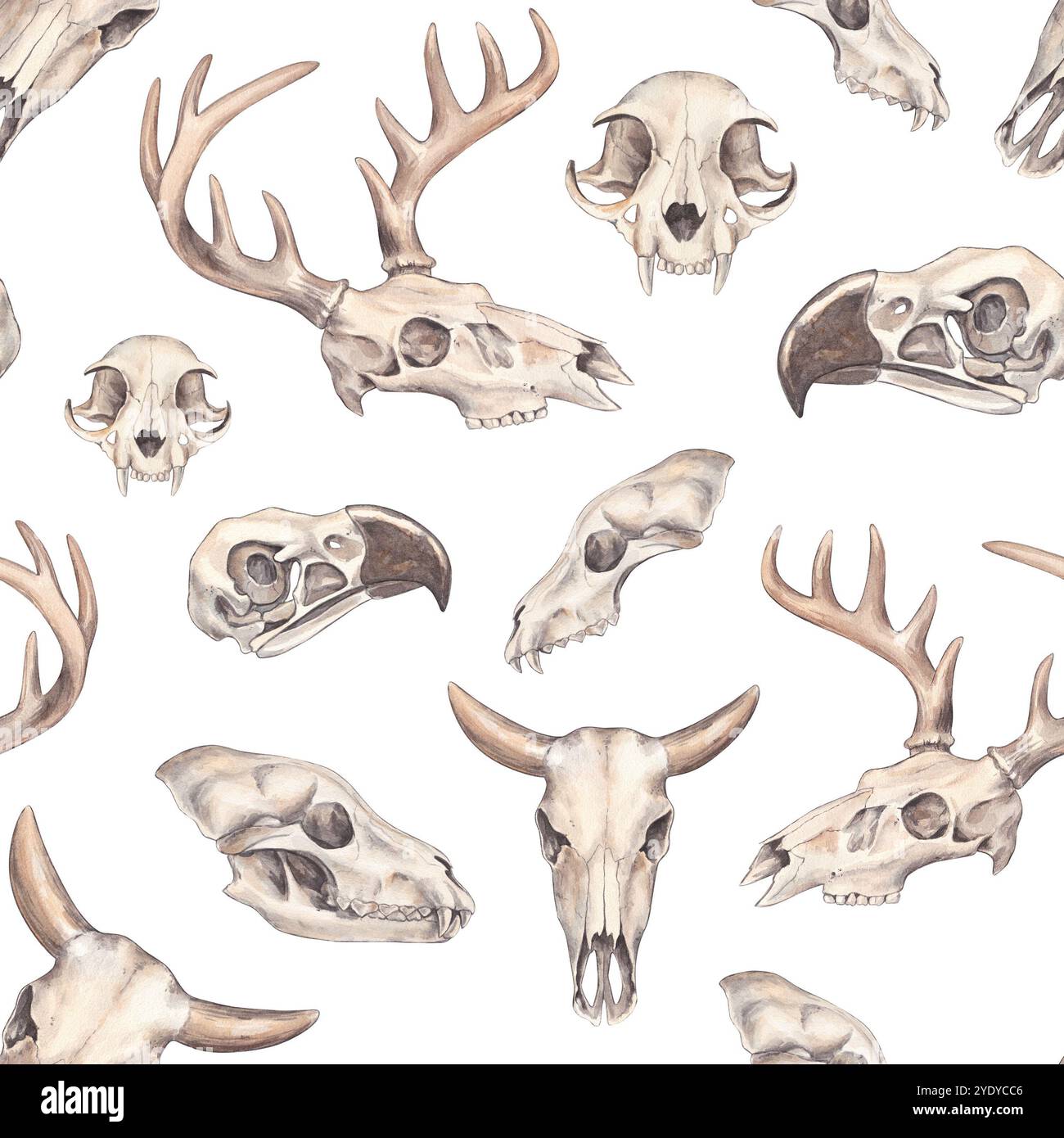 Seamless pattern of animal skulls on a white background. Watercolor ...