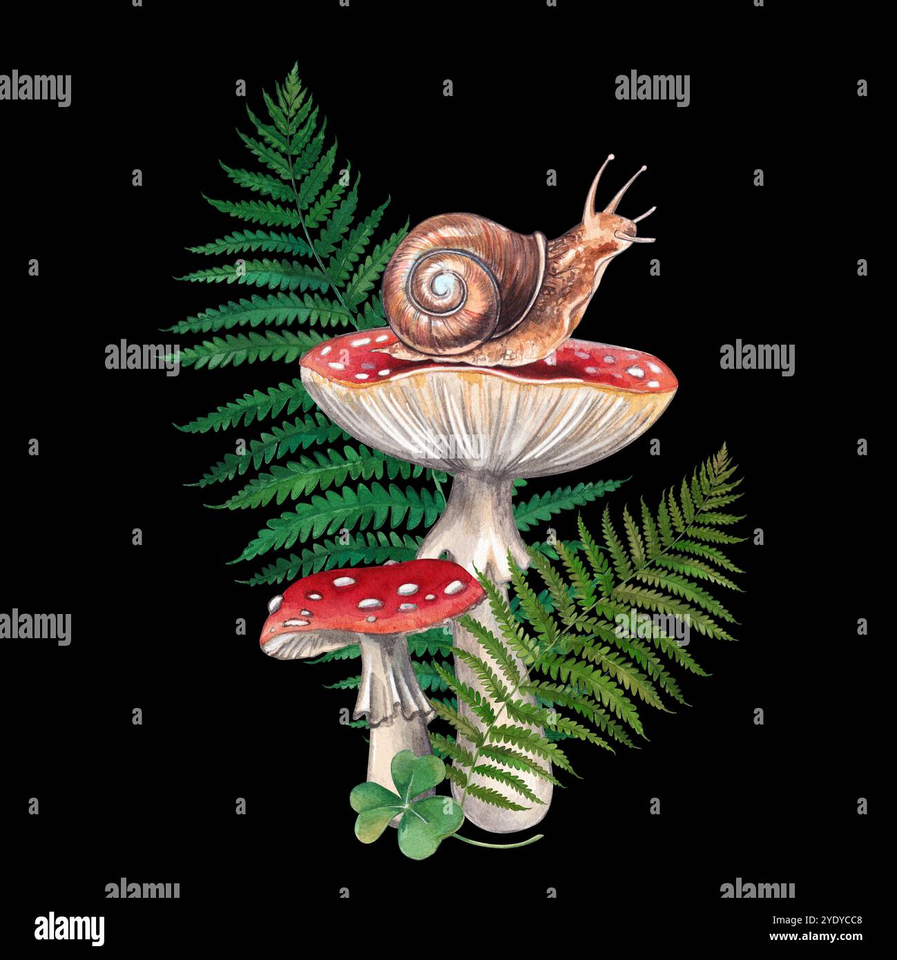 Red fly agarics with snail and green fern. Watercolor hand-drawn ...