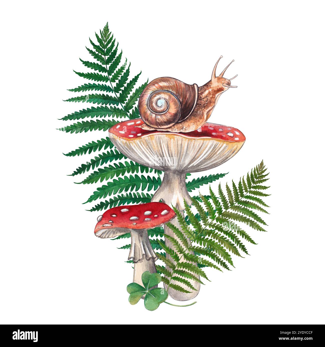 Red fly agarics with snail and green fern. Watercolor hand drawn ...