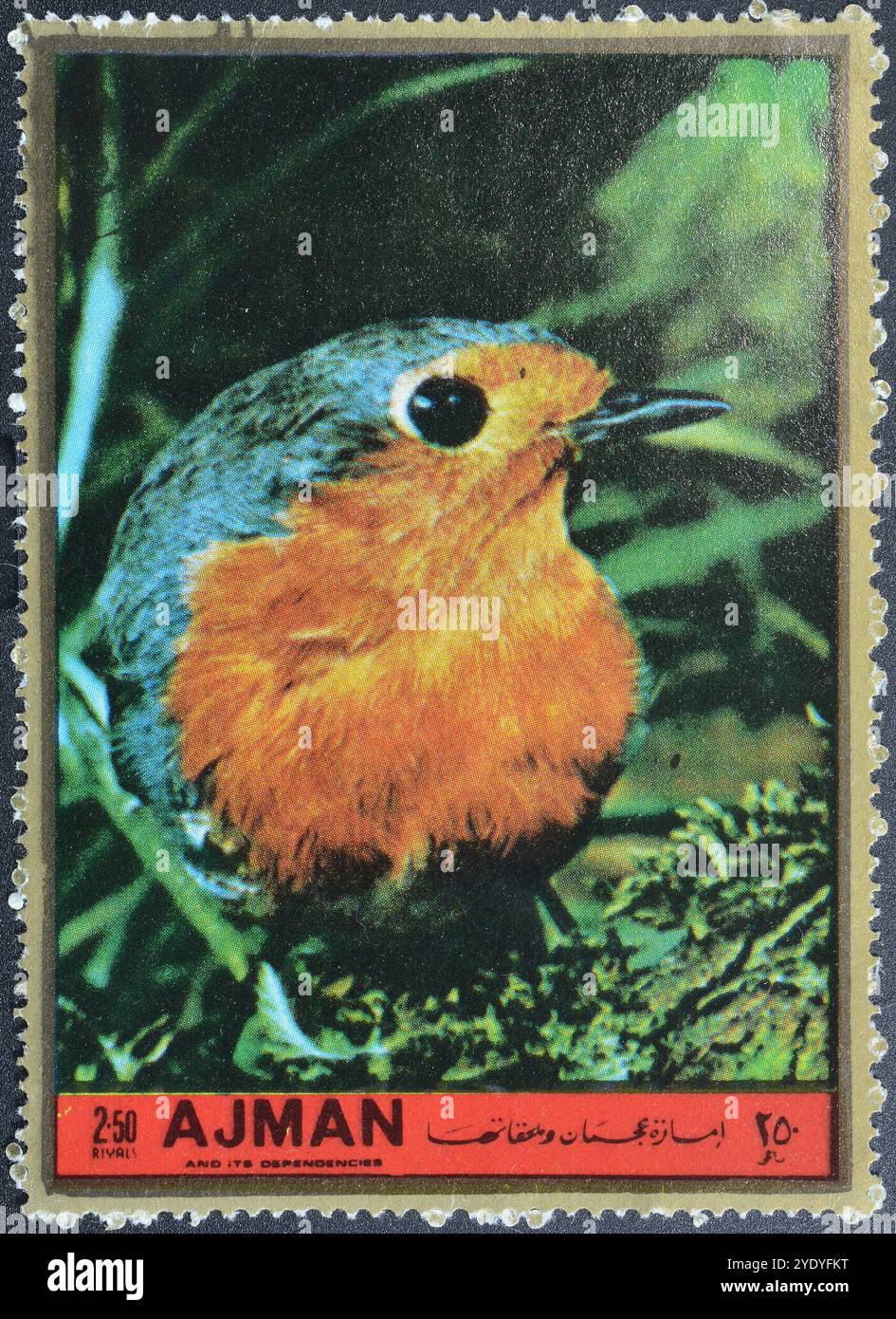 Cancelled postage stamp printed by Ajman, that shows European Robin ...