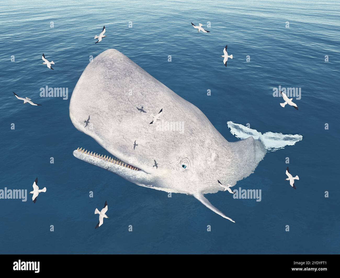 Whale emerging hi-res stock photography and images - Alamy