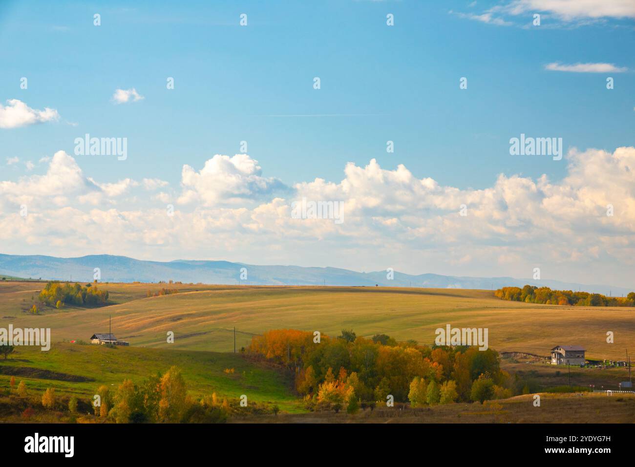 Scenic rural landscape yellow hi-res stock photography and images - Alamy