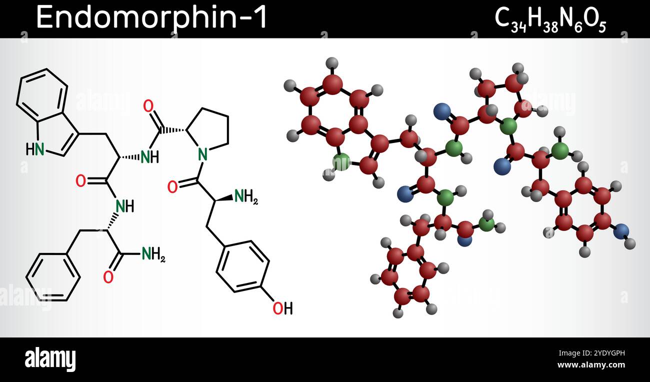 Endomorphin-1 (EM-1) molecule. Endogenous opioid peptide for pain ...
